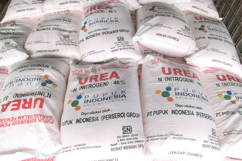 2021, Aceh Siapkan 76.000 Ton Pupuk Urea Subsidi - Nukilan