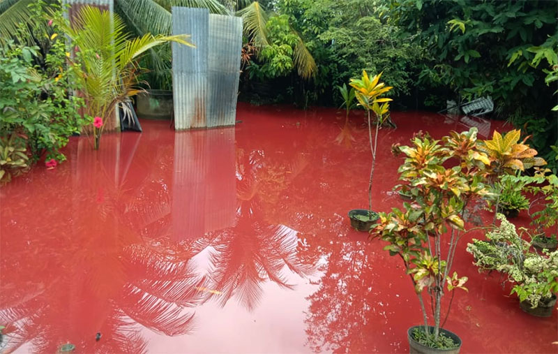 Di Aceh Utara, Air Parit Tiba-tiba Berubah Warna Jadi Merah Darah - Nukilan