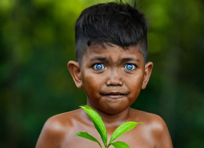 Selain Lamno Ini Suku Di Indonesia Yang Bermata Biru Nukilan
