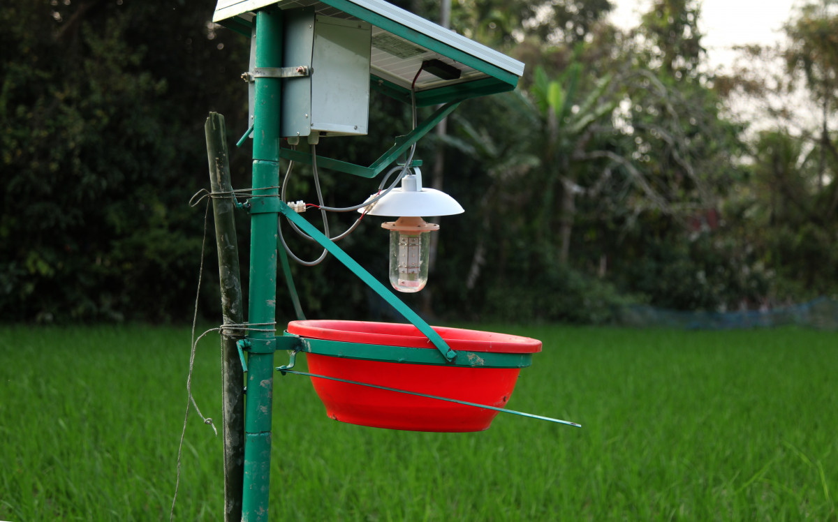 Light Trap Insect, Solusi Pengendali Hama Selain Pestisida - Nukilan