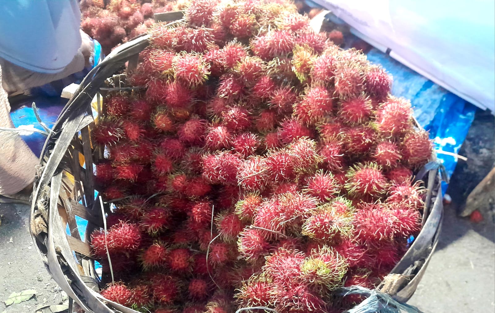 Banda Aceh Dibanjiri Rambutan, Harga Mulai Rp 10 Ribu per Kilogram ...